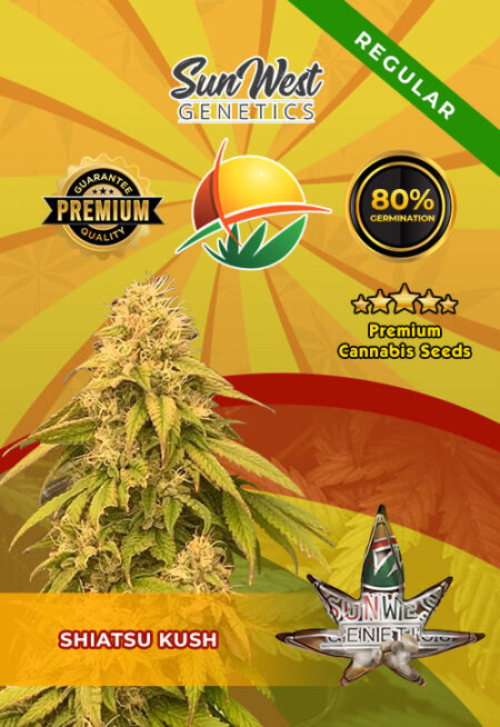 Shiatsu Kush Regular | SunWest Genetics