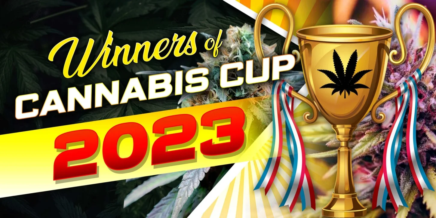 Winners of Cannabis Cup 2023 | SunWest Genetics