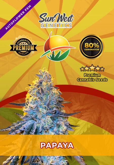 Papaya Strain Autoflowering Feminized Marijuana Seeds Marijuana Seeds ...