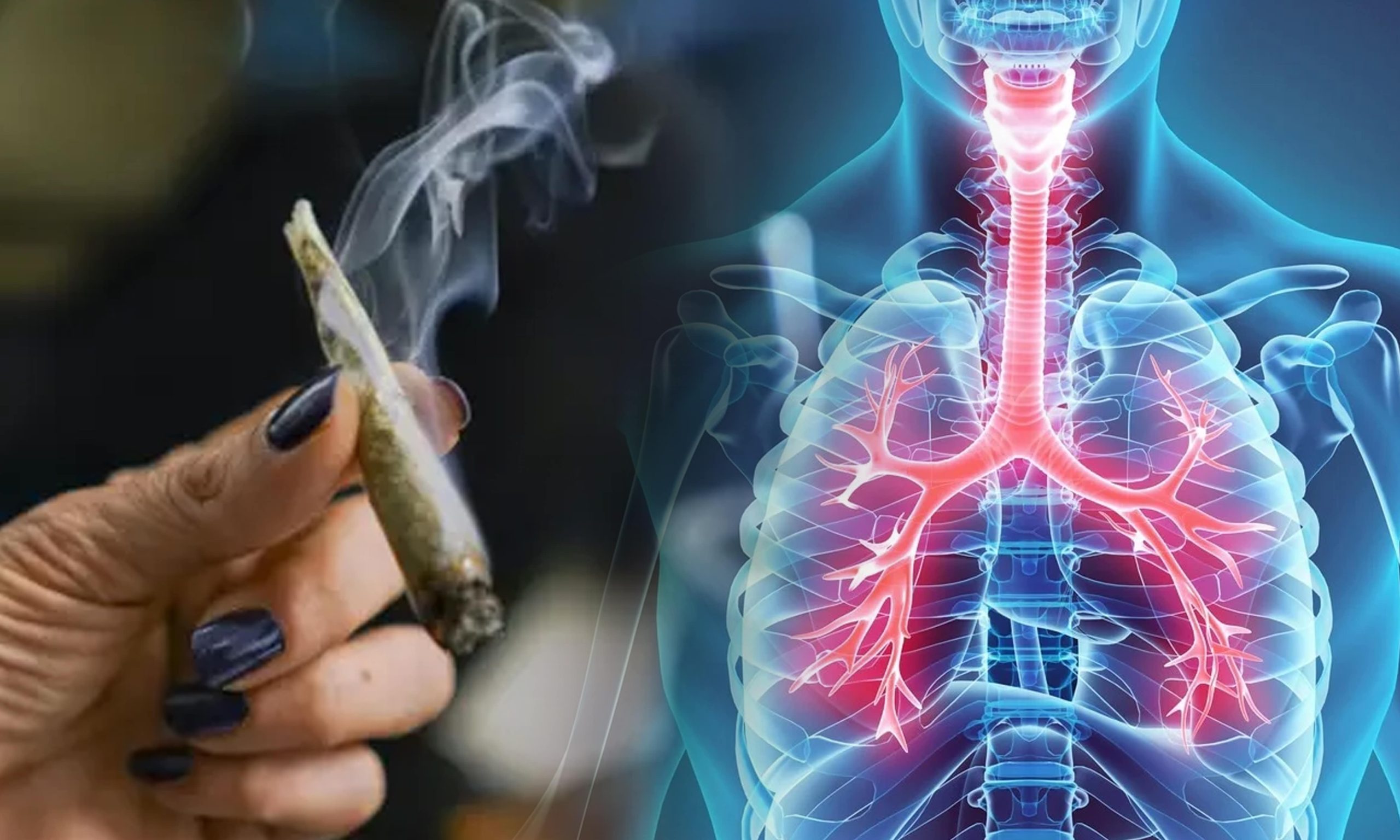 Smoking Tobacco with Your Weed: Understanding the Risks | SunWest Genetics