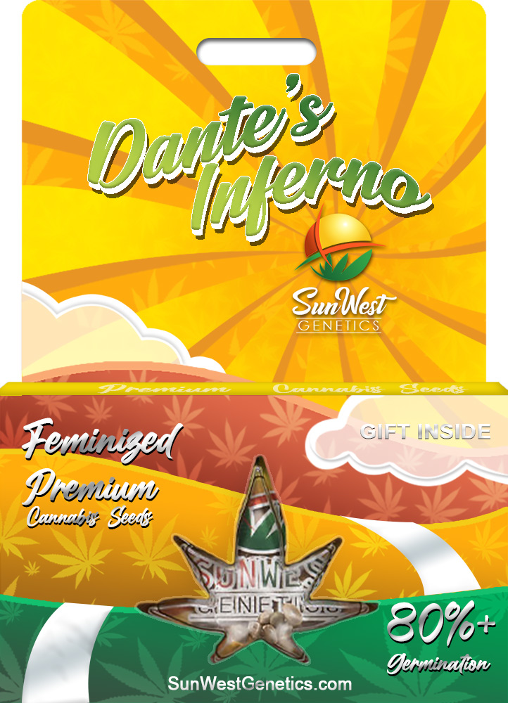 Dante’s Inferno Strain Feminized Marijuana Seeds | SunWest Genetics