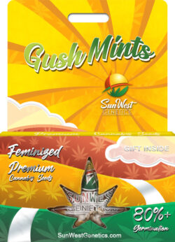 Gush Mints Strain Feminized Marijuana Seeds | SunWest Genetics