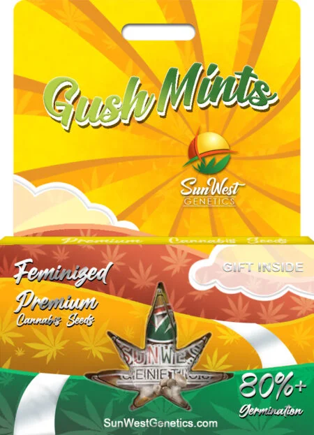 Gush Mints Strain Feminized Marijuana Seeds | SunWest Genetics