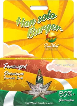 Han Solo Burger Strain Feminized Marijuana Seeds | SunWest Genetics