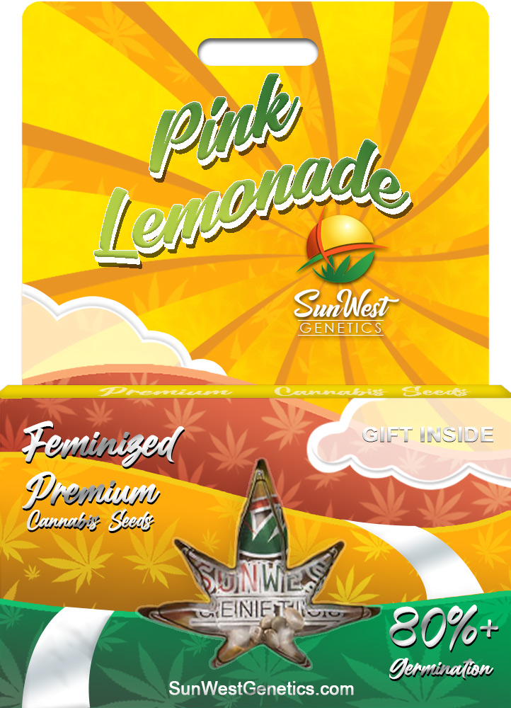 Pink Lemonade Strain Feminized Marijuana Seeds | SunWest Genetics