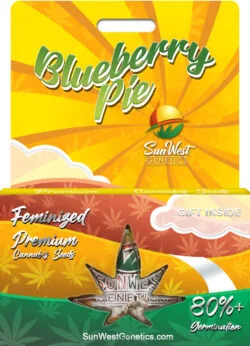 Blueberry Pie Strain Feminized Marijuana Seeds Marijuana Seeds ...