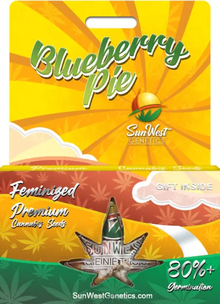 Blueberry Pie Strain Feminized Marijuana Seeds Marijuana Seeds ...