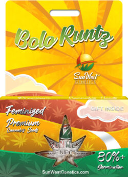 Bolo Runtz Strain Feminized Marijuana Seeds Marijuana Seeds | SunWest ...