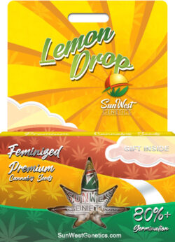 Lemon Drop Strain Feminized Marijuana Seeds Marijuana Seeds | SunWest ...