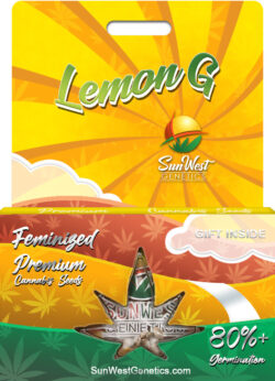 Lemon G Strain Feminized Marijuana Seeds Marijuana Seeds | SunWest Genetics