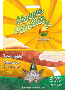 Mango Mintality Strain Feminized Marijuana Seeds Marijuana Seeds ...