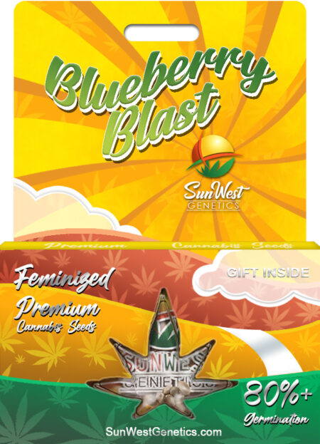 Blueberry Blast Strain Feminized Marijuana Seeds Marijuana Seeds ...