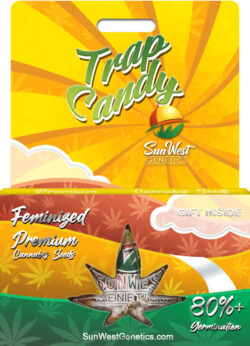 Trap Candy Strain Feminized Marijuana Seeds Marijuana Seeds | SunWest ...