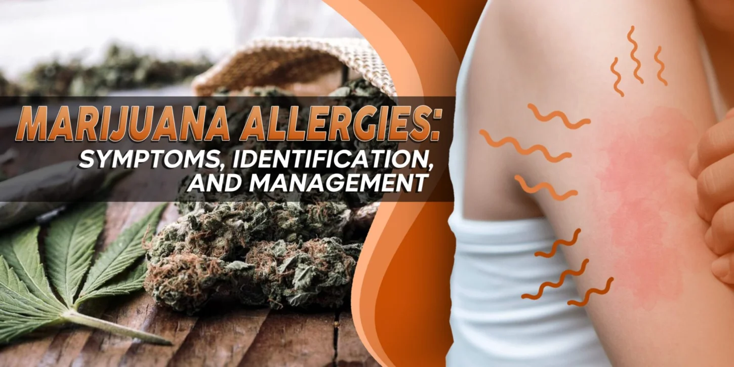 Marijuana Allergies: Symptoms, Identification, and Management | SunWest ...