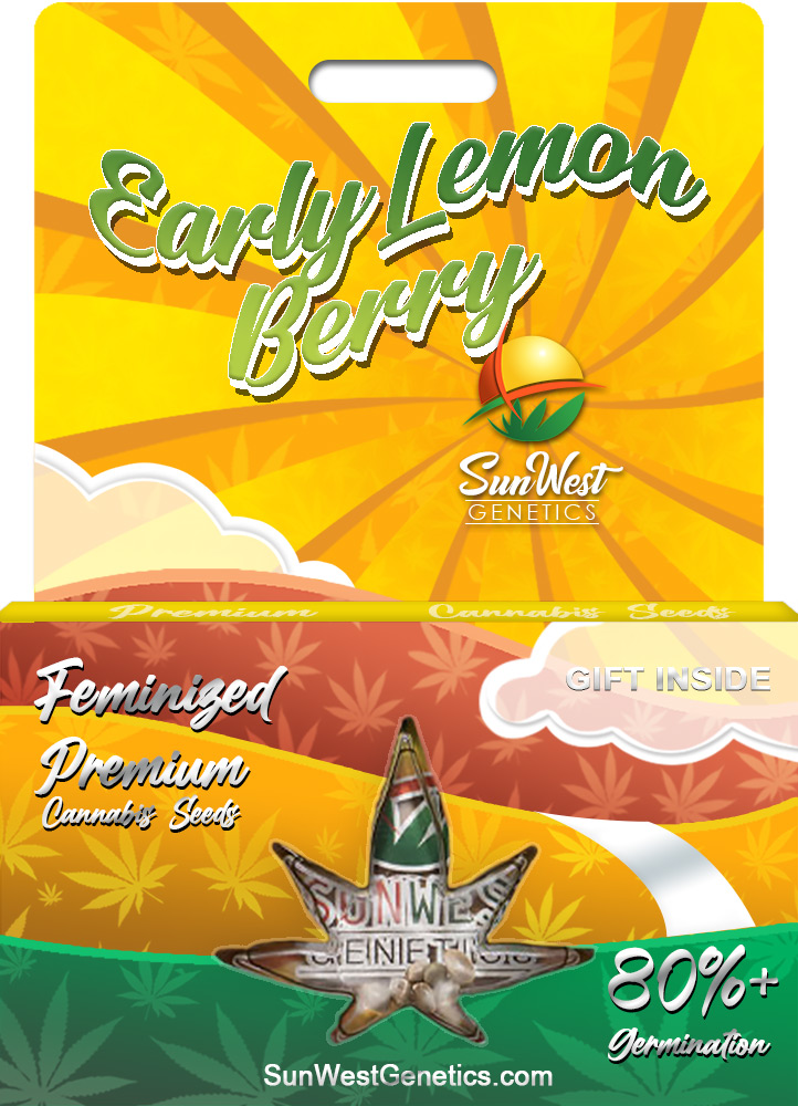 Early Lemon Berry Strain Feminized Marijuana Seeds Marijuana Seeds ...