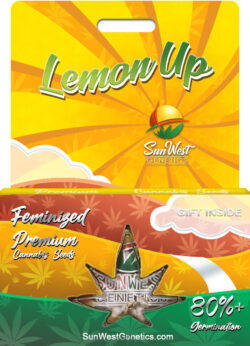 Lemon Up Strain Feminized Marijuana Seeds Marijuana Seeds | SunWest ...