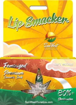Lip Smacker Strain Feminized Marijuana Seeds Marijuana Seeds | SunWest ...