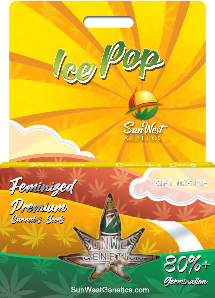 Ice Pop Strain Feminized Marijuana Seeds Marijuana Seeds | SunWest Genetics