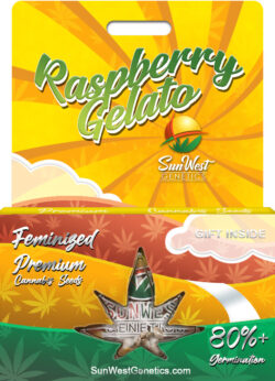 Raspberry Gelato Strain Feminized Marijuana Seeds Marijuana Seeds ...